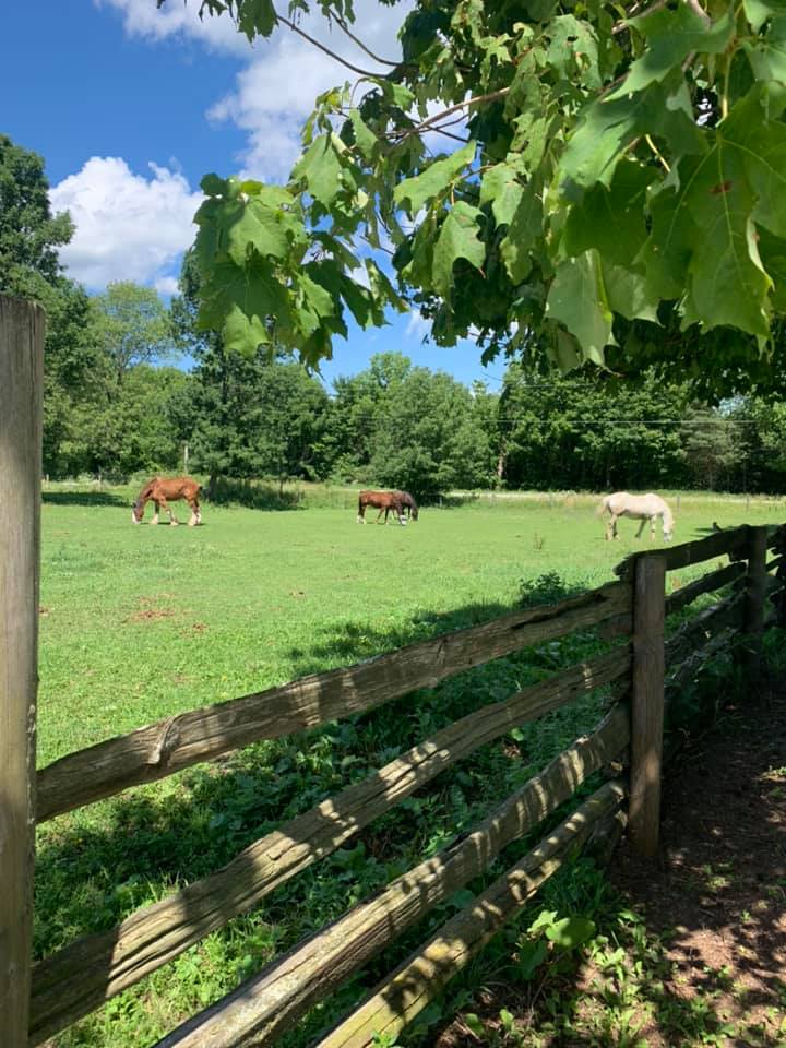 Rose and Shield Farm